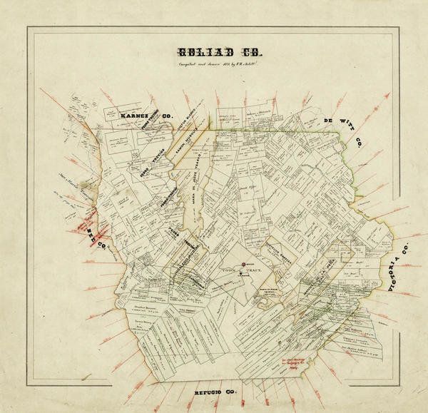 Goliad County, 1871