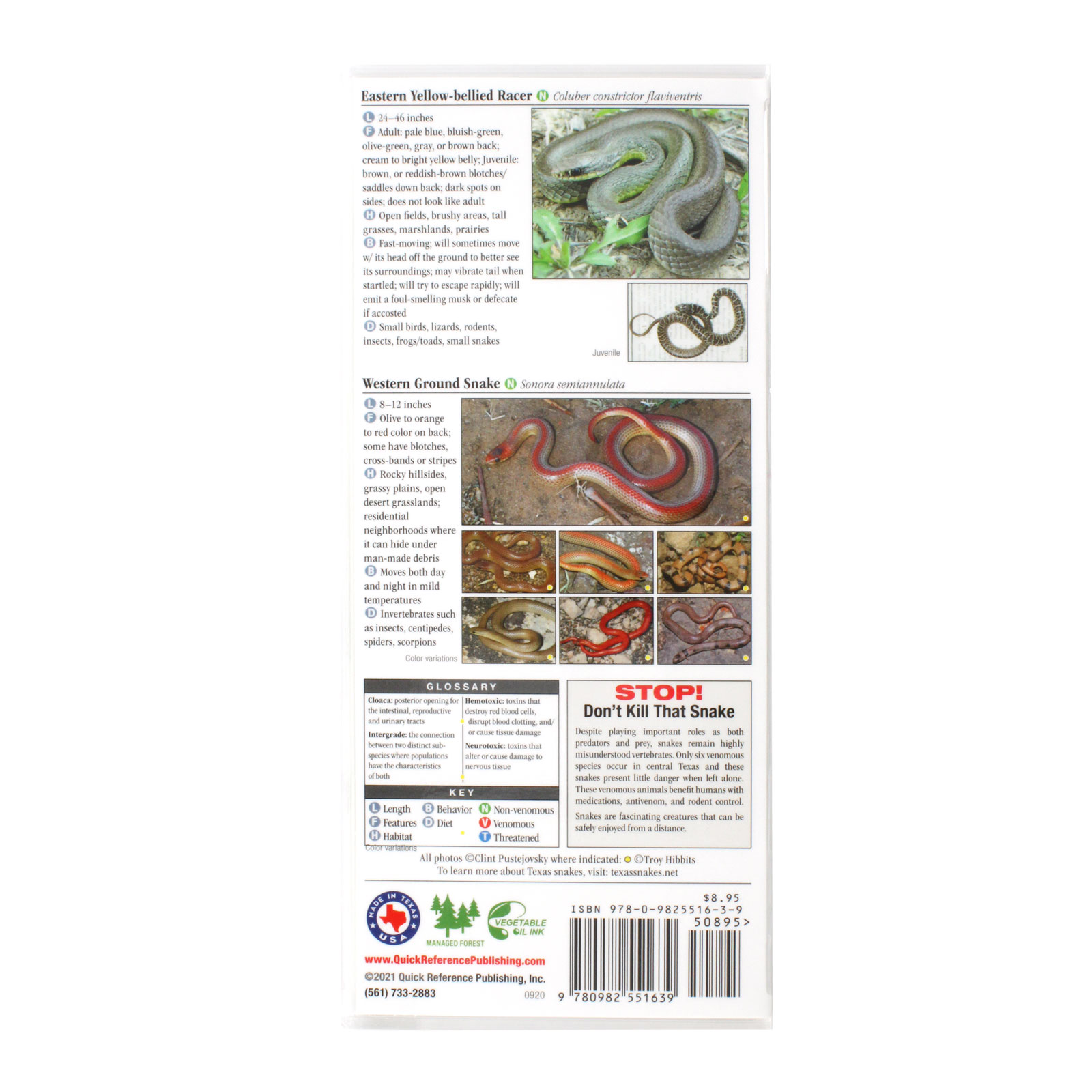 Central Texas Snake Identification