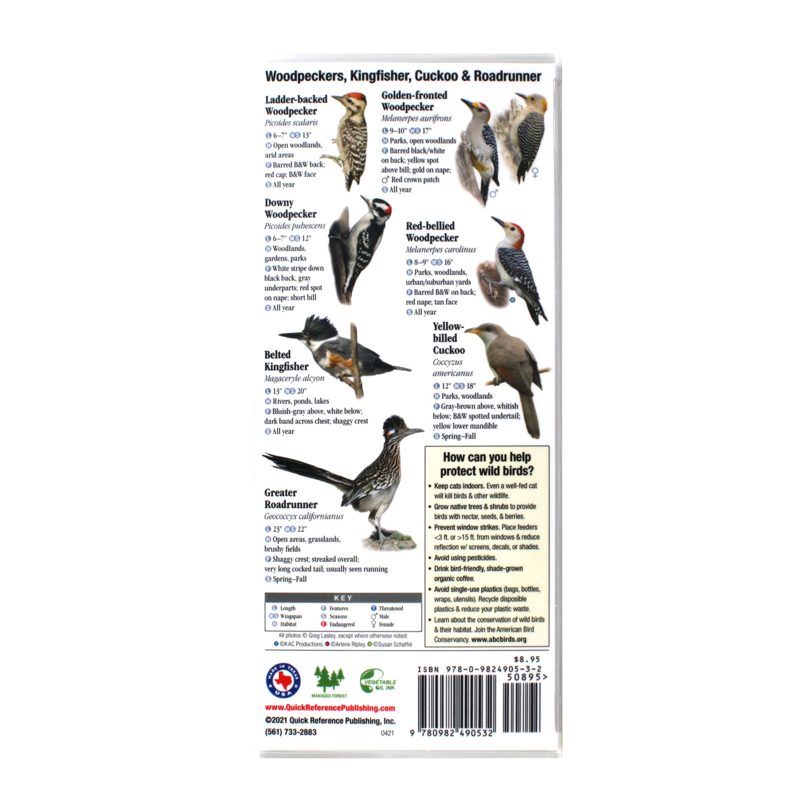 Birds of Central Texas Reference Guide