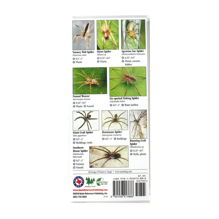 Spiders of Texas Reference Guide