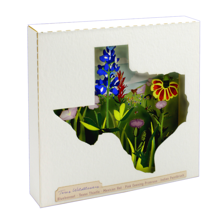 Texas Wildflowers Pop Up Card