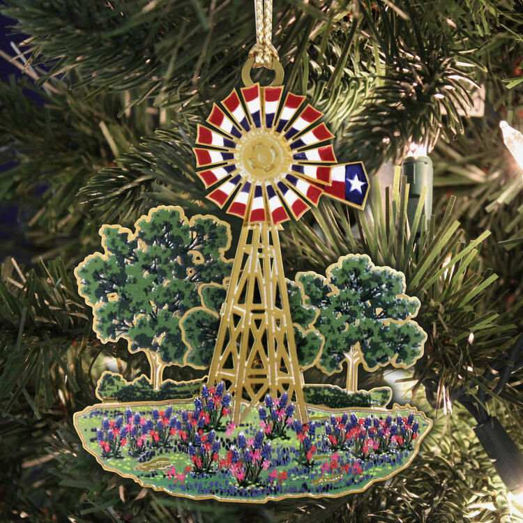 Texas Windmill and Wildflowers 2023